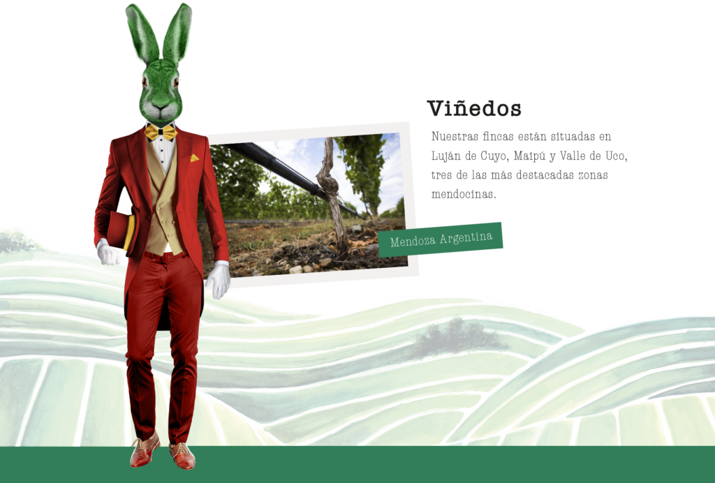 Home - Conejo Verde Wines